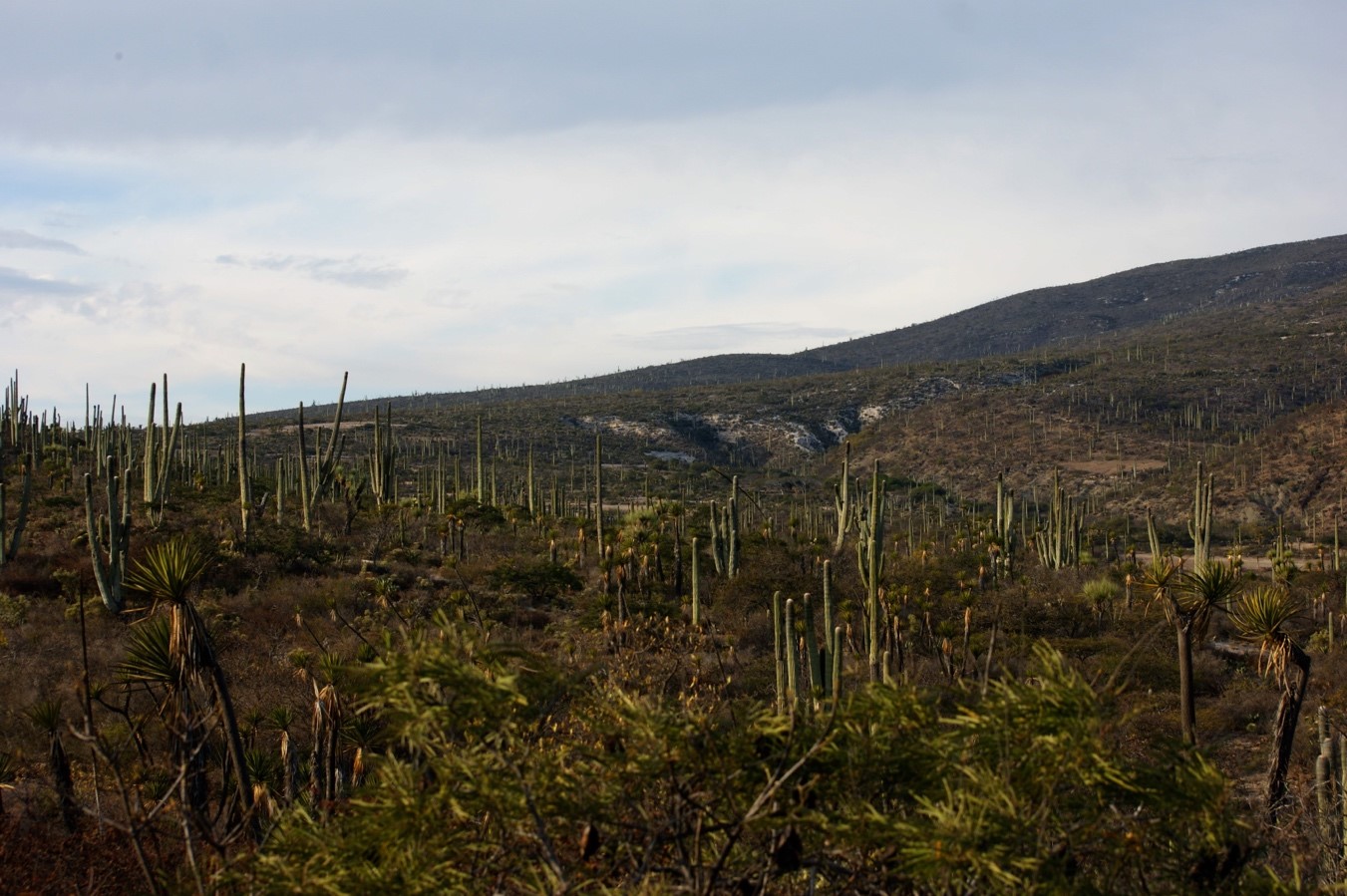 El mar es el tiempo, retorna siempre. Una crónica gráfica de San Juan ...