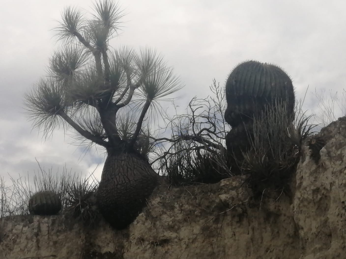 El mar es el tiempo, retorna siempre. Una crónica gráfica de San Juan ...